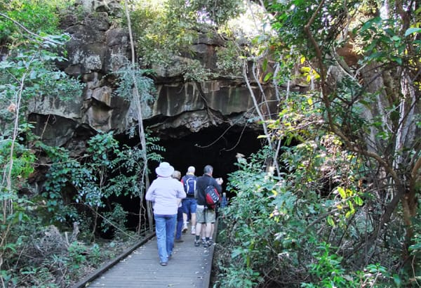 Undara - Secrets of the Subterranean | Coast & Country