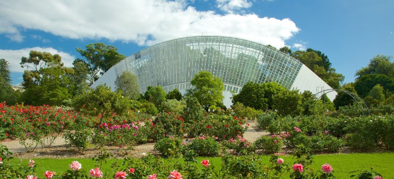 Ultimate Must-Do Experiences and Top Attractions in Adelaide, Australia