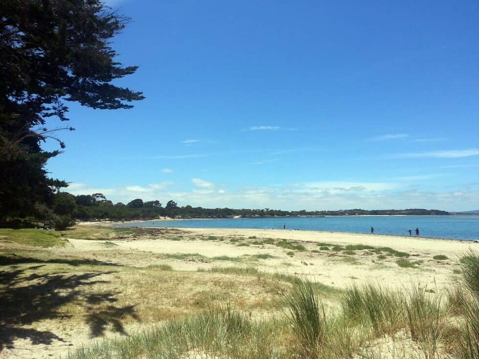 Things To Do in Venus Bay | Coast & Country