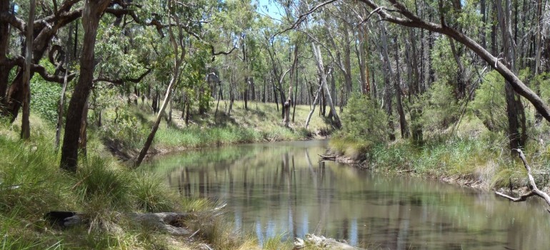 Things to do in Chinchilla