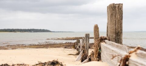 Best Things to Do in Balnarring