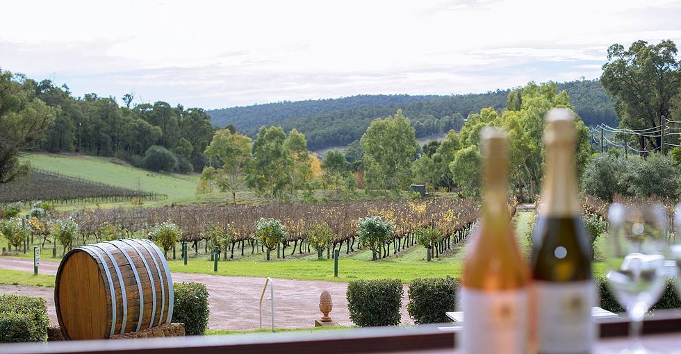 Best Things to Do in Bickley Valley | Coast & Country