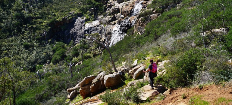 Best Things to Do in Bickley Valley | Coast & Country