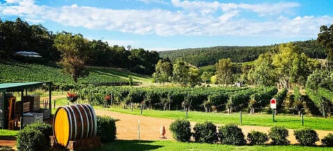Best Things to Do in Bickley Valley | Coast & Country