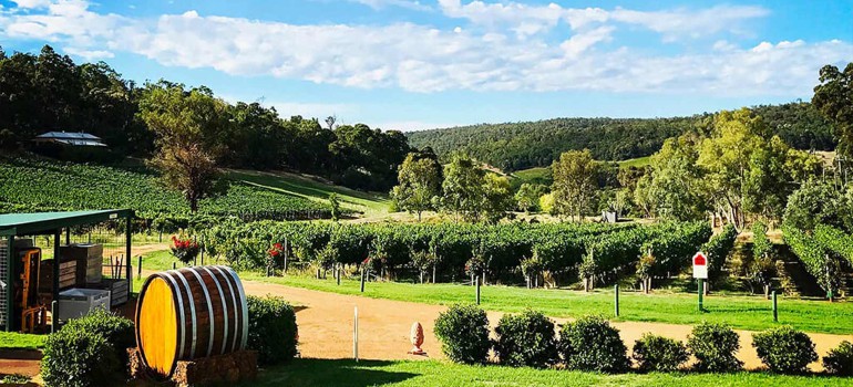 Best Things to Do in Bickley Valley | Coast & Country