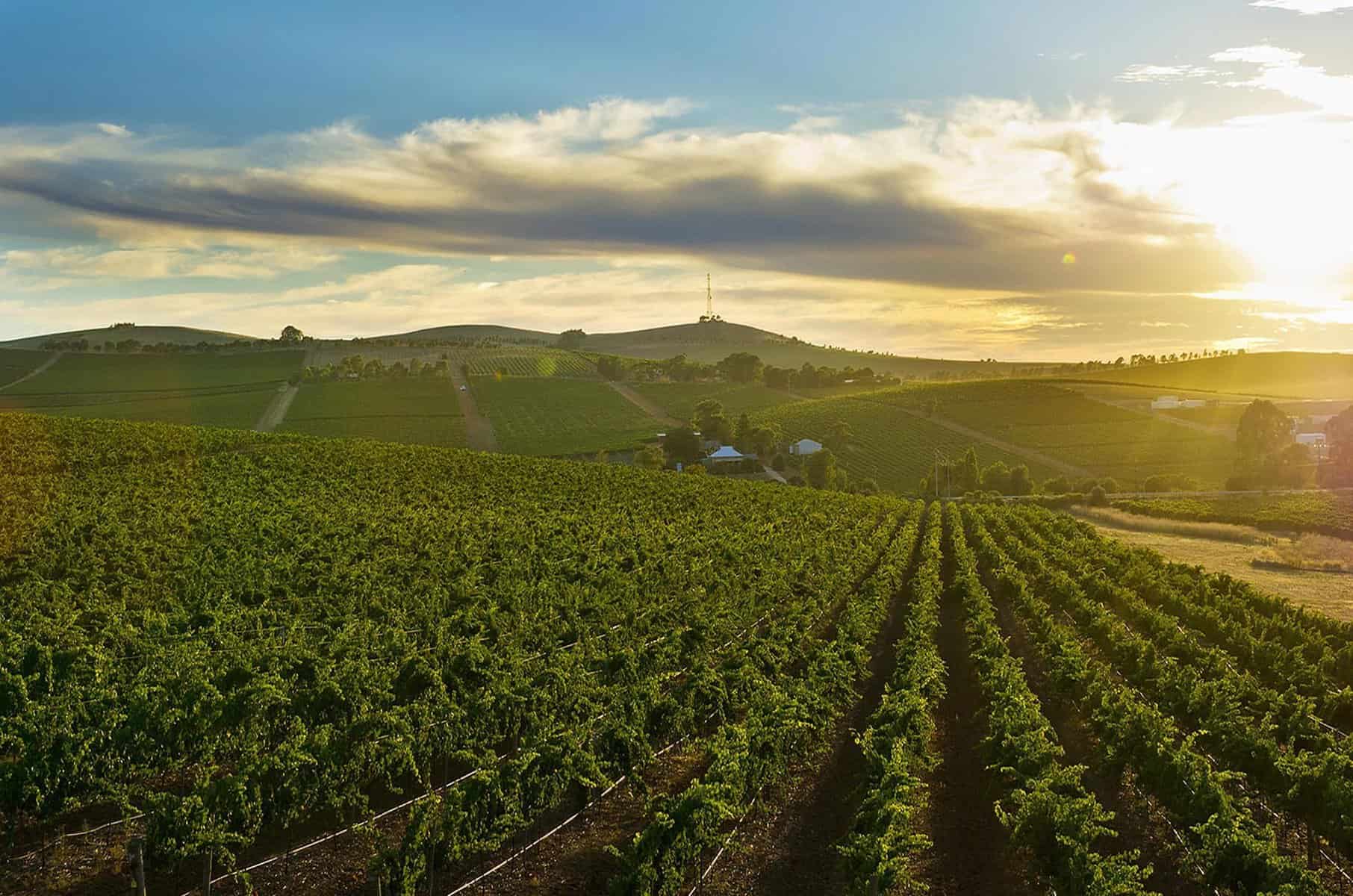 Clare Valley Travel Guide | Coast & Country
