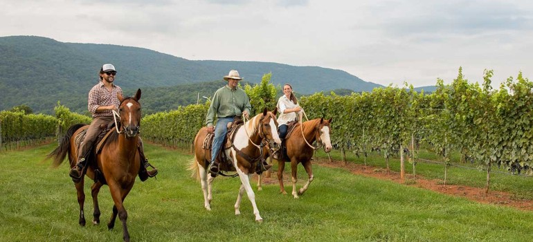 Best Things To Do In Rosebud