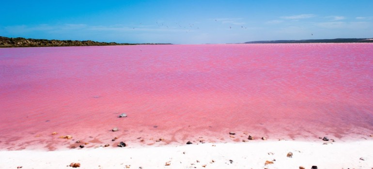 Best Things to Do in Kalbarri