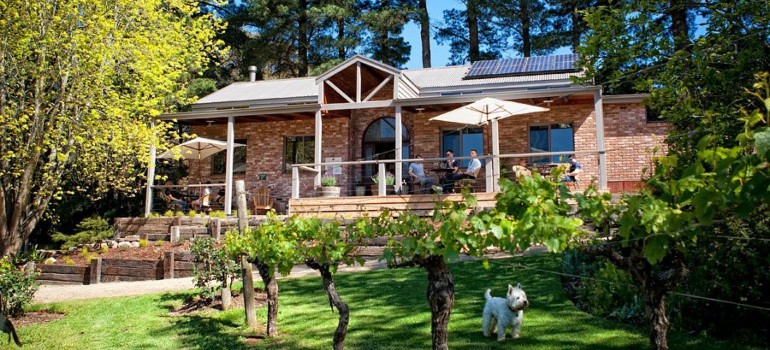 Best Wineries on Mornington Peninsula: Expert Guide to Pt Leo Estate ...