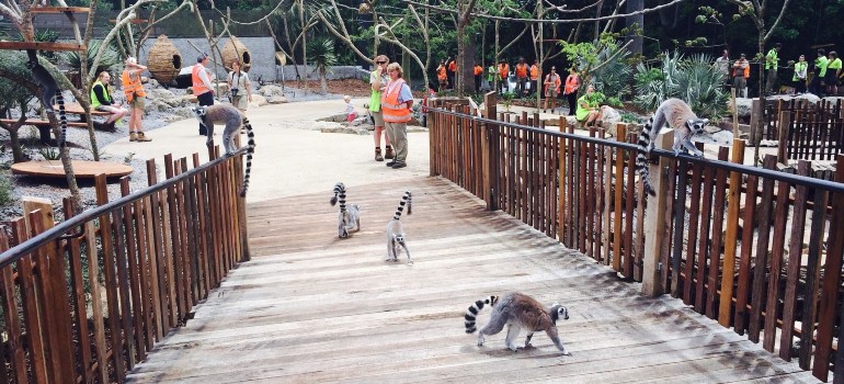 Ultimate Guide to Melbourne's Best Attractions: From Royal Botanic ...