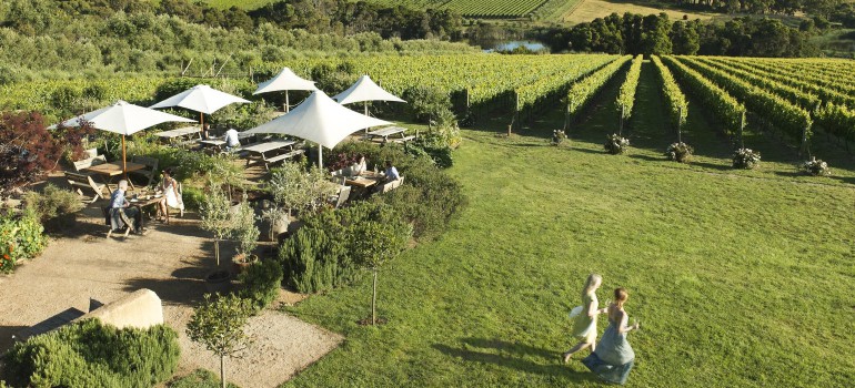 Best Wineries on Mornington Peninsula: Expert Guide to Pt Leo Estate ...