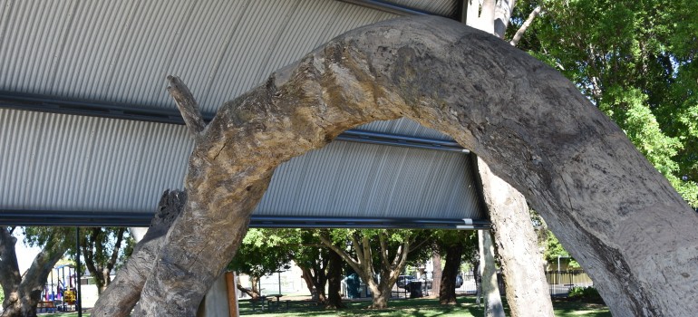 Best Things to Do in Glenelg