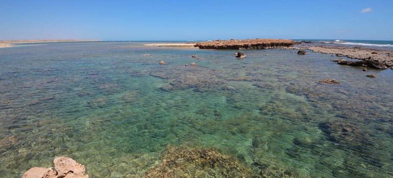 Eat, Stay & Play in Carnarvon: Your Complete Guide to Western Australia ...