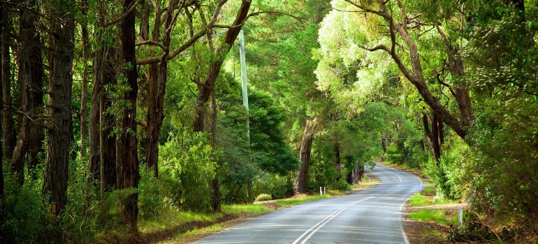 Best Things to Do in Red Hill