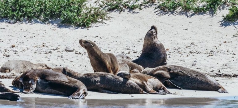 Best Things to Do in Rockingham