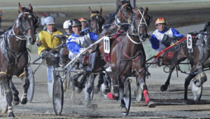 13 Best Things to do in Melton | Coast & Country