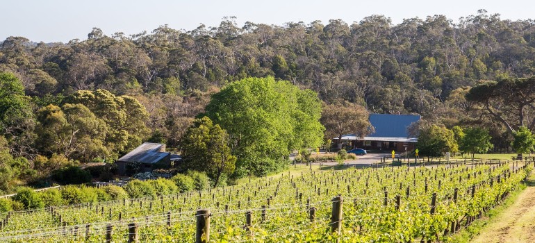 Best Things to Do in Mount Martha