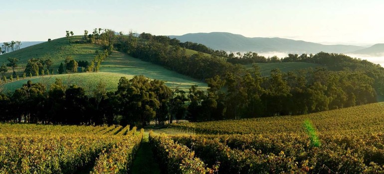 Best things to do in Yarra Glen | Coast & Country