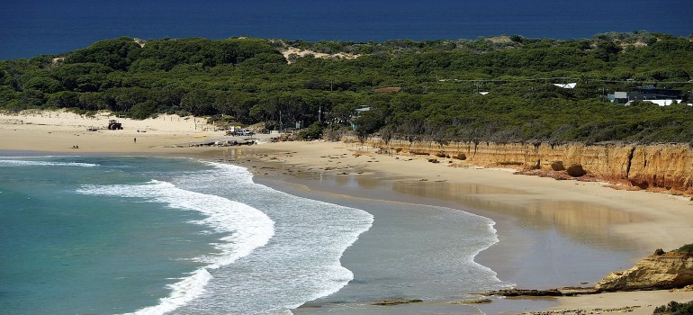 Best Things To Do In Anglesea