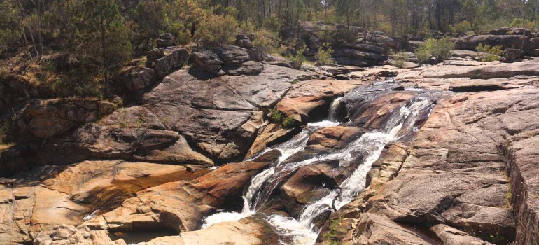 Things to Do in Beechworth with Kids | Coast & Country