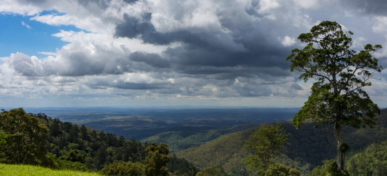 Best Things To Do In Dalby