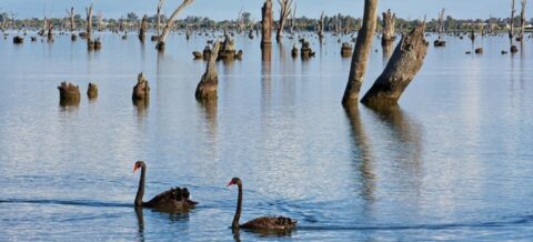 Things to Do in Yarrawonga