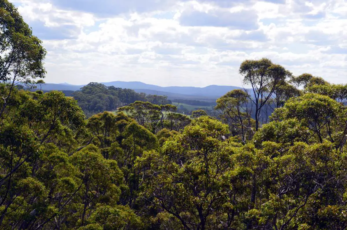 Best Things to Do in Walpole