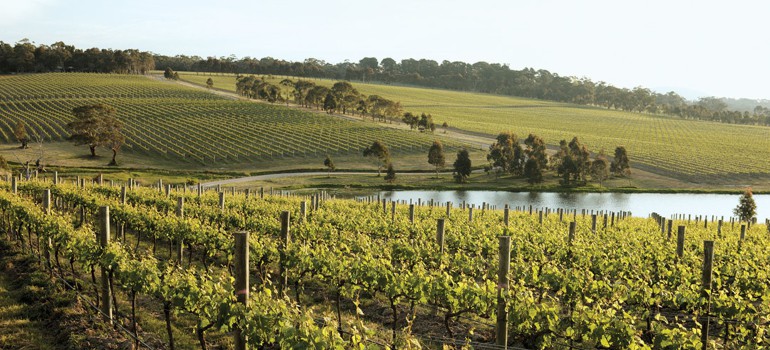 11 Top Winery Restaurants on the Mornington Peninsula | Coast & Country