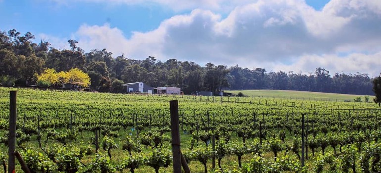 Best Things to Do in Bickley Valley | Coast & Country