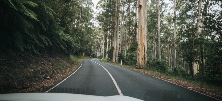 Best Things to Do in Warburton