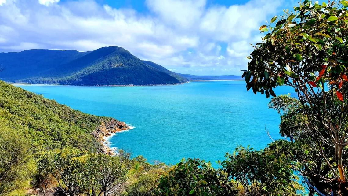 Things To Do in Venus Bay | Coast & Country